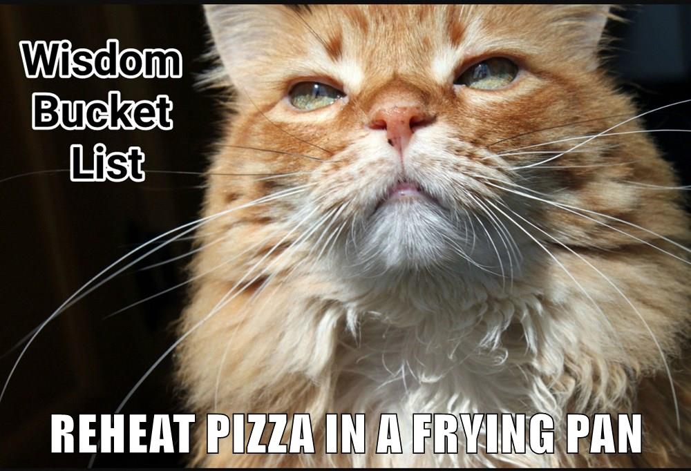 REHEAT PIZZA IN A FRYING PAN - Lolcats - lol | cat memes | funny cats ...