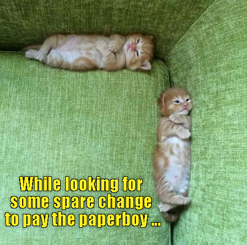 Never know what will turn up in the sofa cushions - Lolcats - lol | cat ...