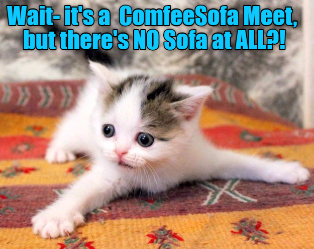 Can I sue for misrepresentation? - Lolcats - lol | cat memes | funny ...