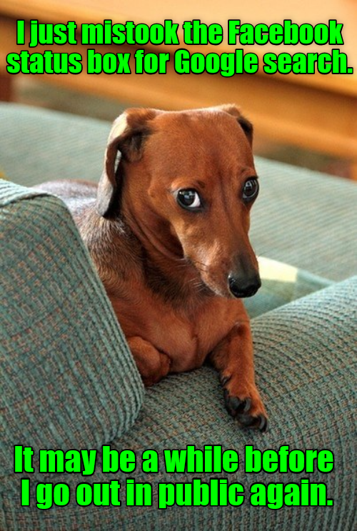 Whoops! - I Has A Hotdog - Dog Pictures - Funny pictures of dogs - Dog ...