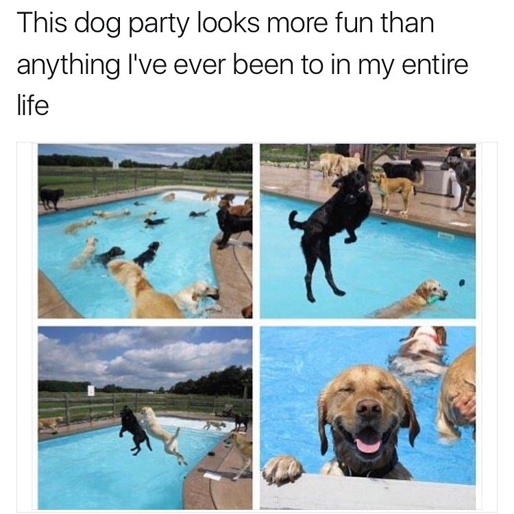 Major FOMO - Memebase - Funny Memes