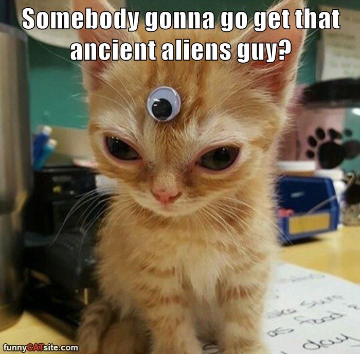 Somebody gonna go get that ancient aliens guy? - Lolcats - lol | cat ...