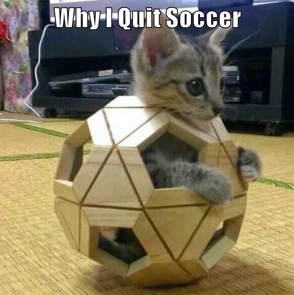 Lolcats - soccer - LOL at Funny Cat Memes - Funny cat pictures with ...