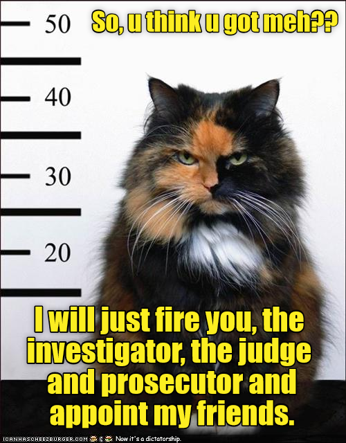 Ur fired! - Lolcats - lol | cat memes | funny cats | funny cat pictures ...