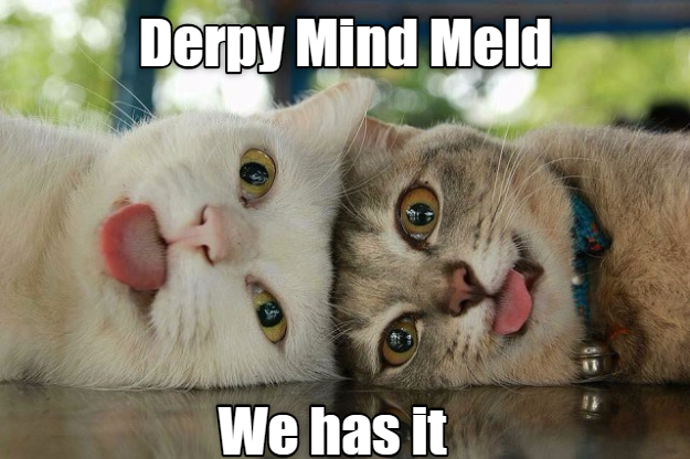 Trekkie Kittehs afta a Trek Binge - Lolcats - lol | cat memes | funny ...