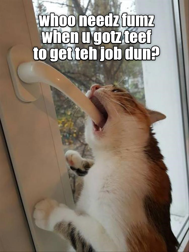 Whoo needz fumz? - Lolcats - lol | cat memes | funny cats | funny cat ...