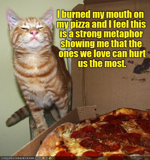 Very Hurtful - Lolcats - lol | cat memes | funny cats | funny cat ...