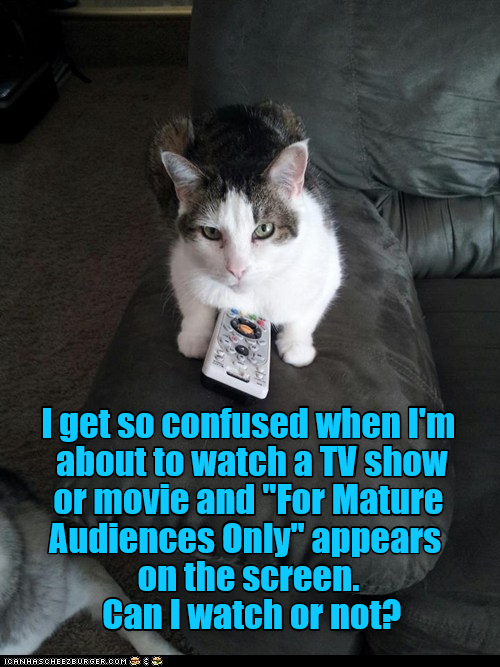 Lolcats - confused - LOL at Funny Cat Memes - Funny cat pictures with words on them - lol | cat ...