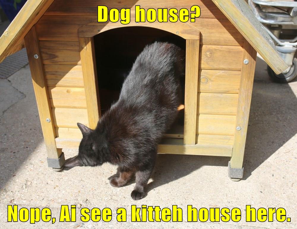 Dog House Memes