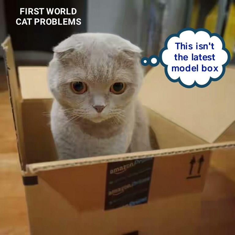 First World Cat Problems Lolcats Lol Cat Memes Funny Cats Funny Cat Pictures With