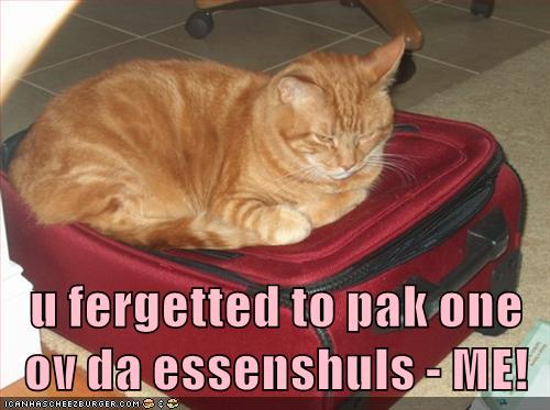 U fergetted to pak one ov da essenshuls - ME! - Lolcats - lol | cat ...