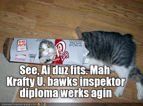 Krafty Diplomas make eberfing possible - Lolcats - lol | cat memes ...