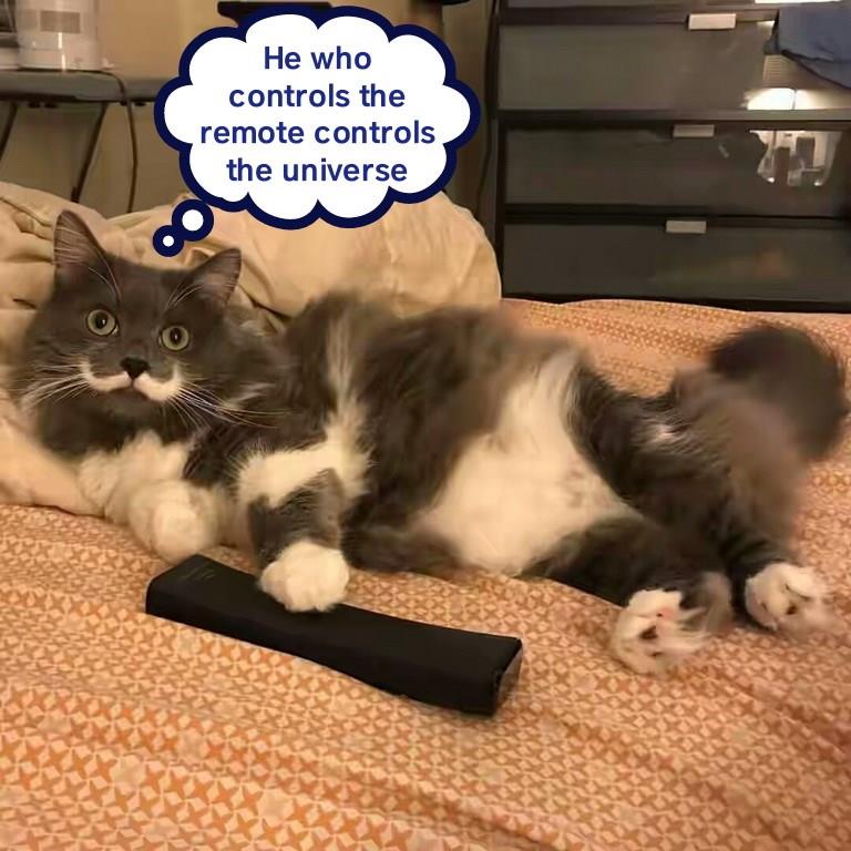 *my* universe - Lolcats - lol | cat memes | funny cats | funny cat ...