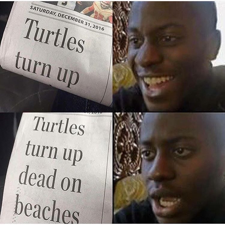 Memebase - turtle - Page 2 - All Your Memes In Our Base - Funny Memes ...