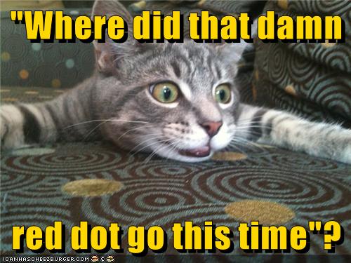 "Where did that damn red dot go this time"? - Lolcats - lol | cat memes ...