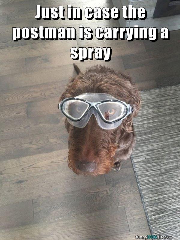 Just in case the postman is carrying a spray - I Has A Hotdog - Dog ...