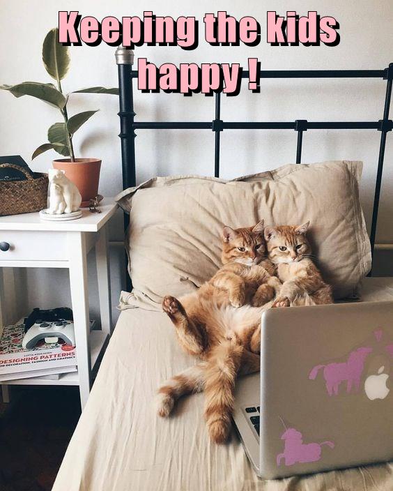Keeping the kids happy ! - Lolcats - lol | cat memes | funny cats ...