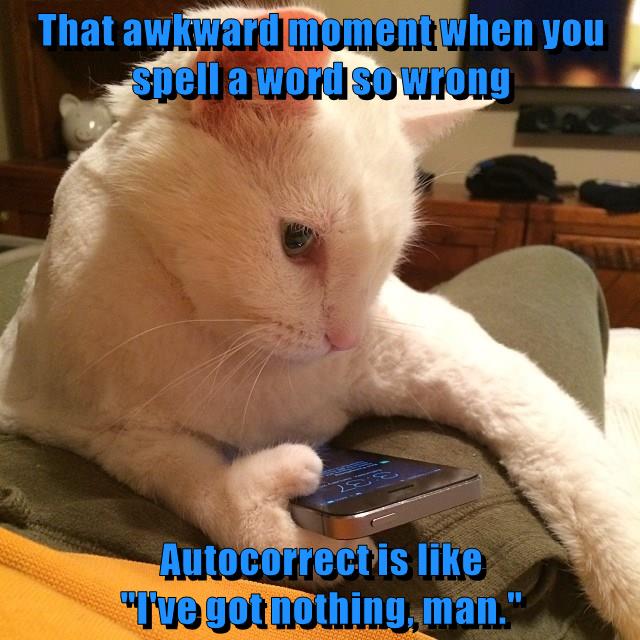 That awkward moment - Lolcats - lol | cat memes | funny cats | funny ...