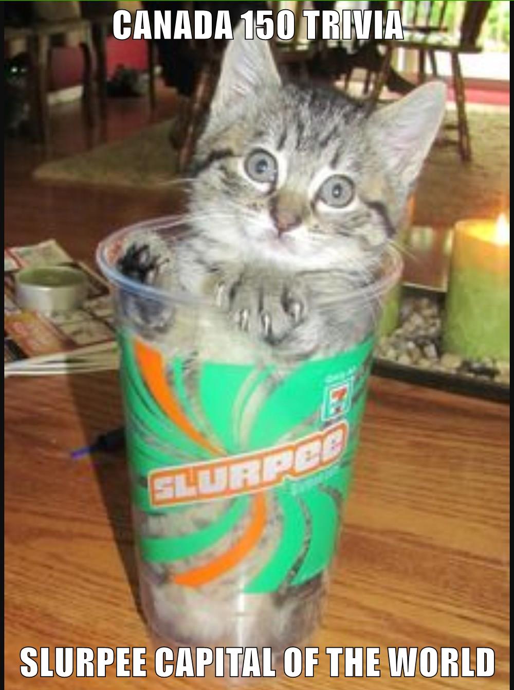 CANADA 150 TRIVIA - Lolcats - lol | cat memes | funny cats | funny cat ...