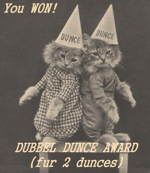 You WON! - Lolcats - lol | cat memes | funny cats | funny cat pictures ...