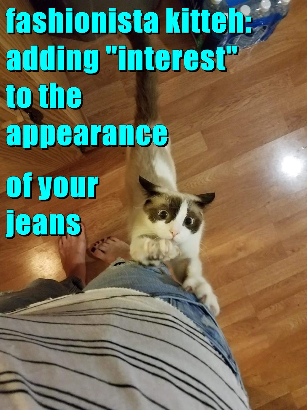 fashionista kitteh: adding "interest" to the appearance of your jeans ...