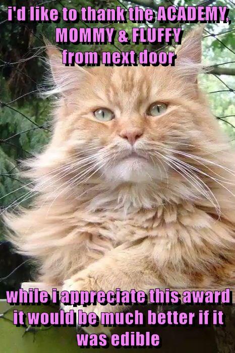i'd like to thank the ACADEMY, MOMMY & FLUFFY - Lolcats - lol | cat ...