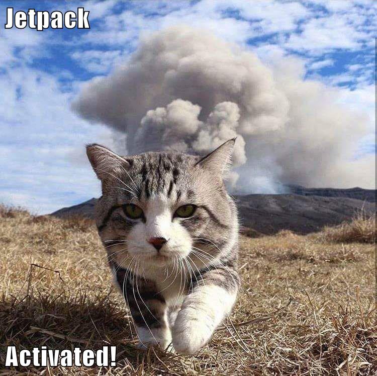 Jetpack Activated! - Lolcats - lol | cat memes | funny cats | funny cat ...