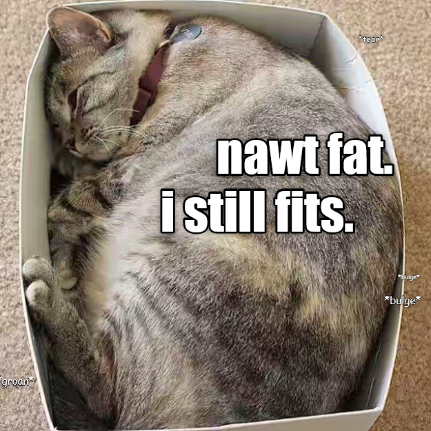 A bit snug - Lolcats - lol | cat memes | funny cats | funny cat ...