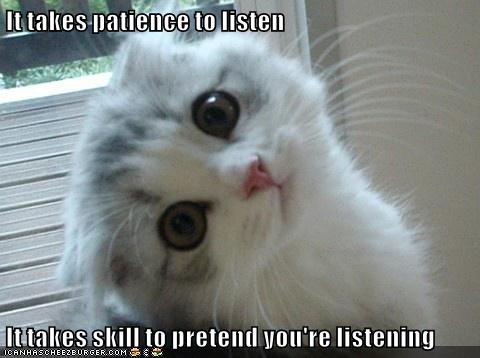 Skill - Lolcats - lol | cat memes | funny cats | funny cat pictures ...