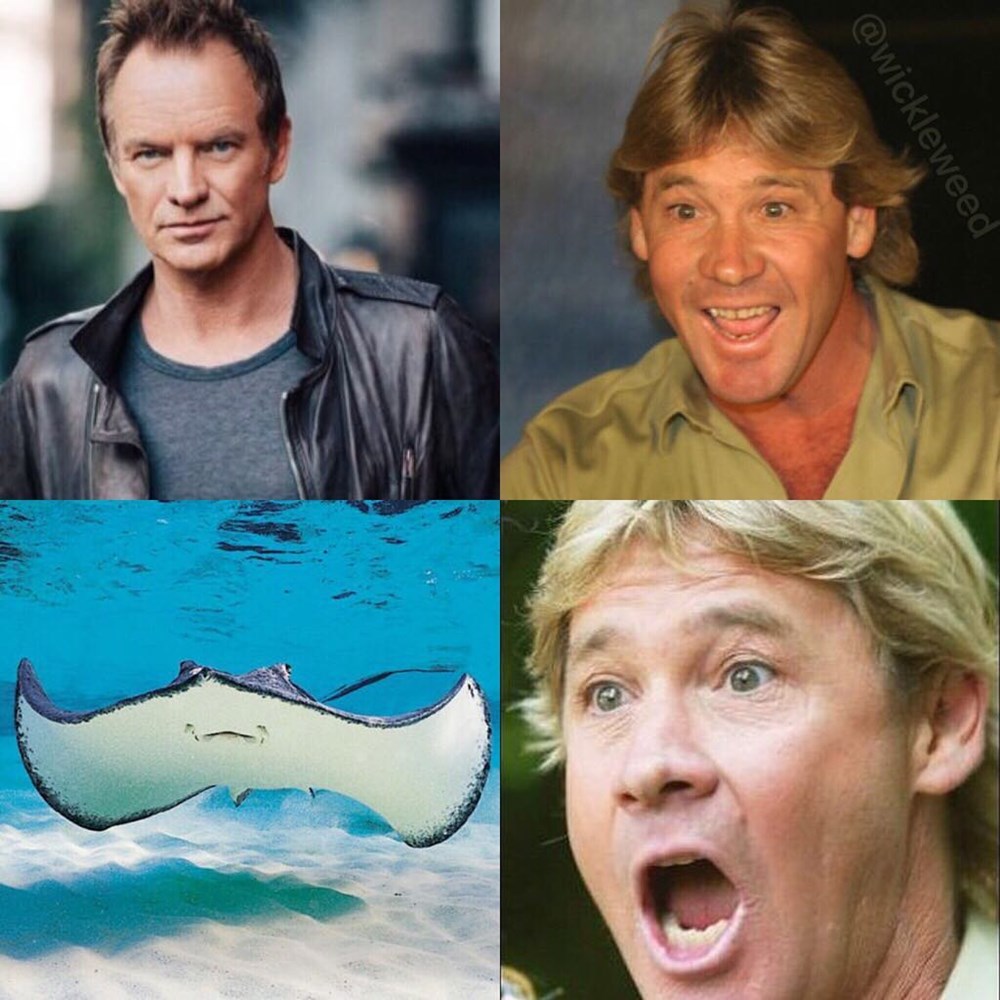 Memebase - steve irwin - Page 2 - All Your Memes In Our Base - Funny ...