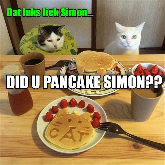 Where's Simon? What happened to Simon? - Lolcats - lol | cat memes ...