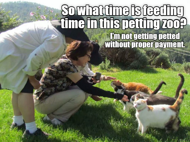 Funny Zoo Animal Memes