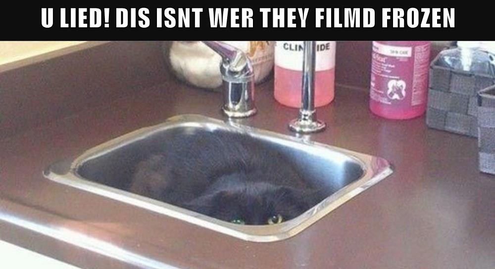 U LIED! - Lolcats - lol | cat memes | funny cats | funny cat pictures ...