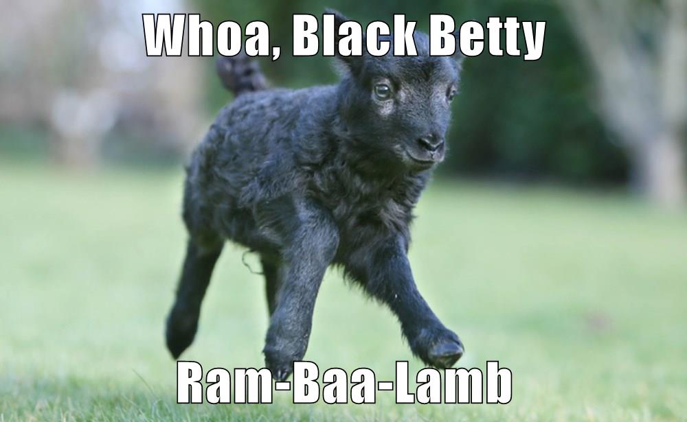 Whoa, Black Betty Ram-Baa-Lamb - Animal Comedy - Animal Comedy, funny ...