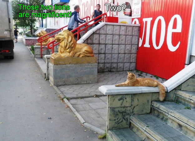 Magnificent - Lolcats - lol | cat memes | funny cats | funny cat ...