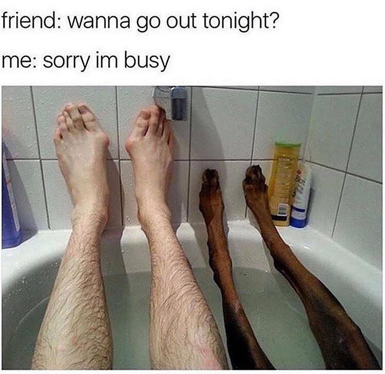 Very Busy Right Now - Memebase - Funny Memes