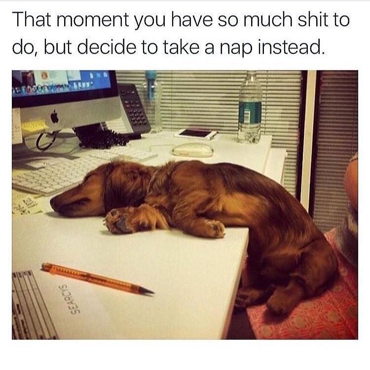 Just A Quick One - Memebase - Funny Memes