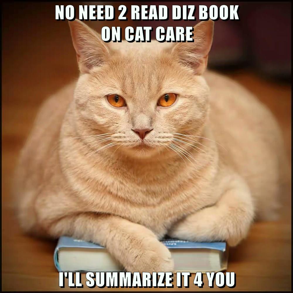 Lolcats - Page 90 - LOL at Funny Cat Memes - Funny cat pictures with ...