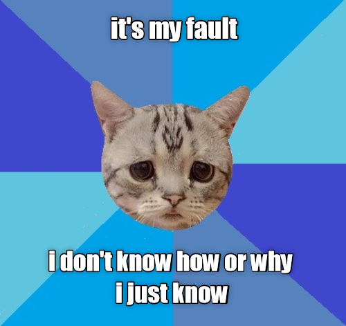 Always my fault - Lolcats - lol | cat memes | funny cats | funny cat ...