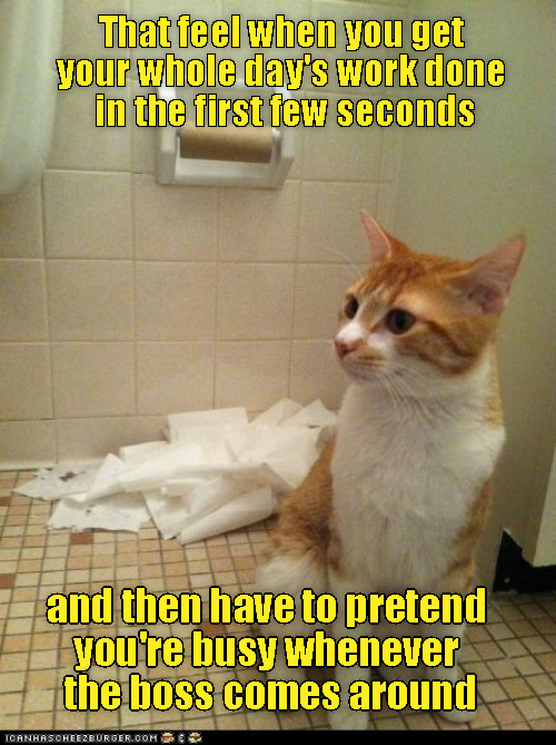 Cat Finished His Work, What Now? - I Can Has Cheezburger?