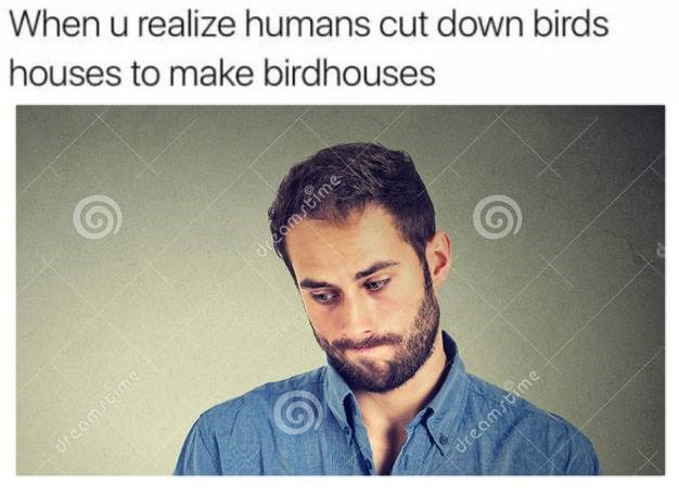 Damn - Memebase - Funny Memes