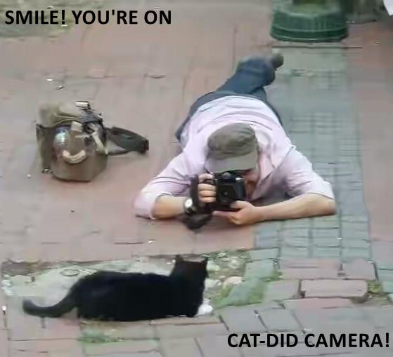 SMILE! YOU'RE ON CAT-DID CAMERA! - Lolcats - lol | cat memes | funny ...