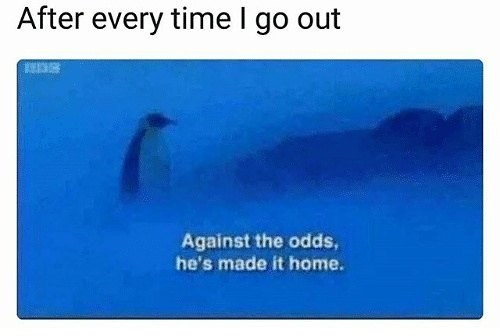 About Last Night - Memebase - Funny Memes