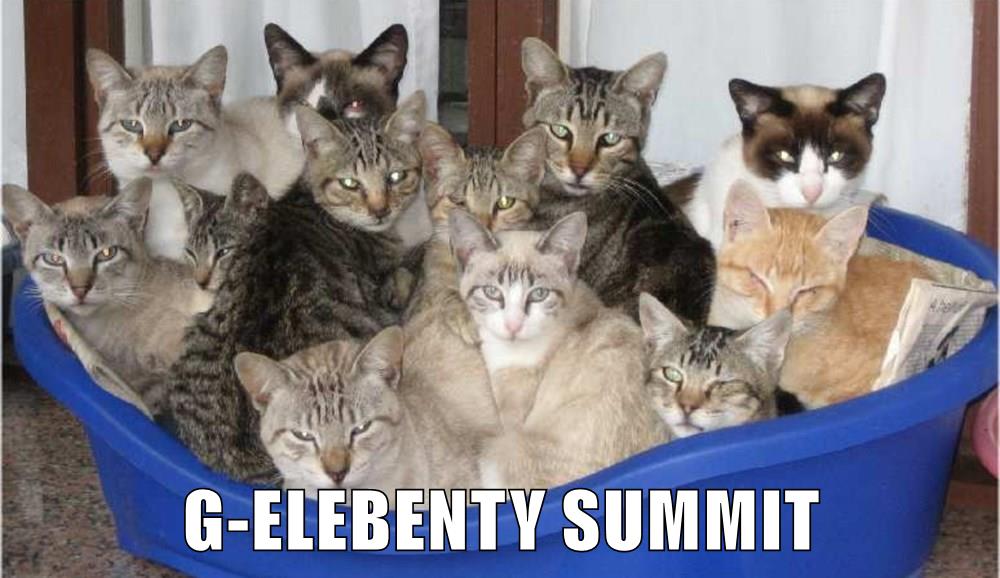 G-ELEBENTY SUMMIT - Lolcats - lol | cat memes | funny cats | funny cat ...