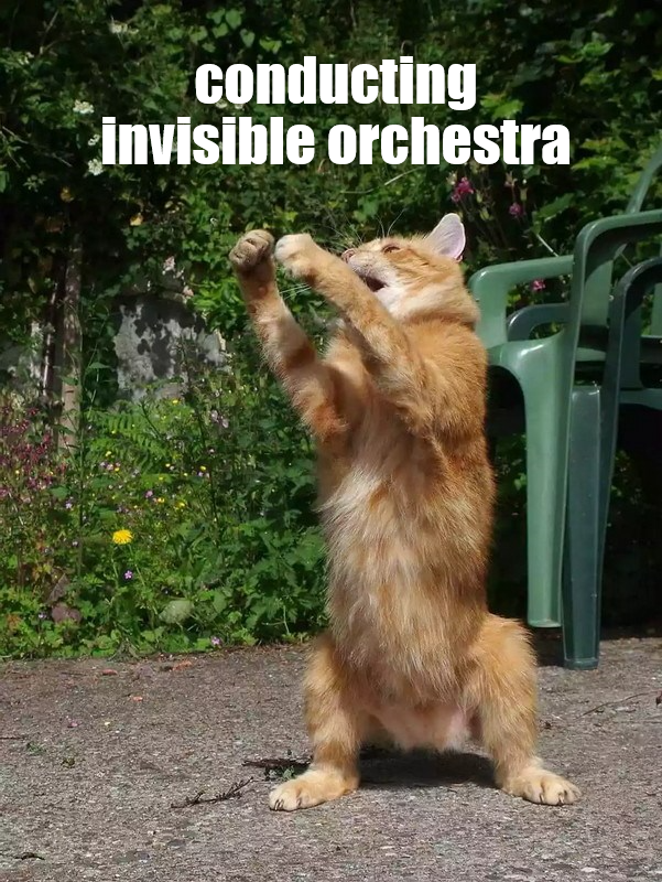 conducting invisible orchestra - I Can Has Cheezburger? - Funny Cats ...