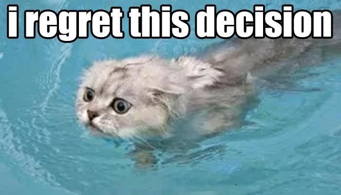 A Cats Regret - I Can Has Cheezburger?