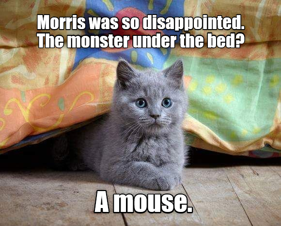 So Disappointed It Was Only A Mouse - I Can Has Cheezburger?