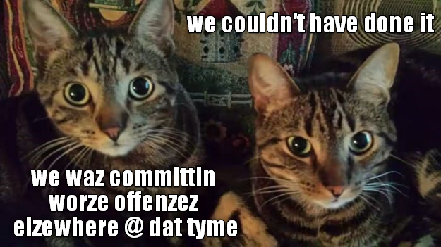 The best defense ever - Lolcats - lol | cat memes | funny cats | funny ...