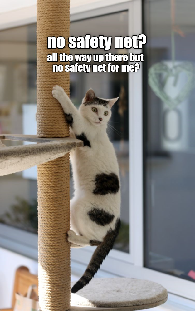 No safety net? - Lolcats - lol | cat memes | funny cats | funny cat ...