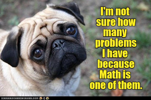 I can't count them. - I Has A Hotdog - Dog Pictures - Funny pictures of ...